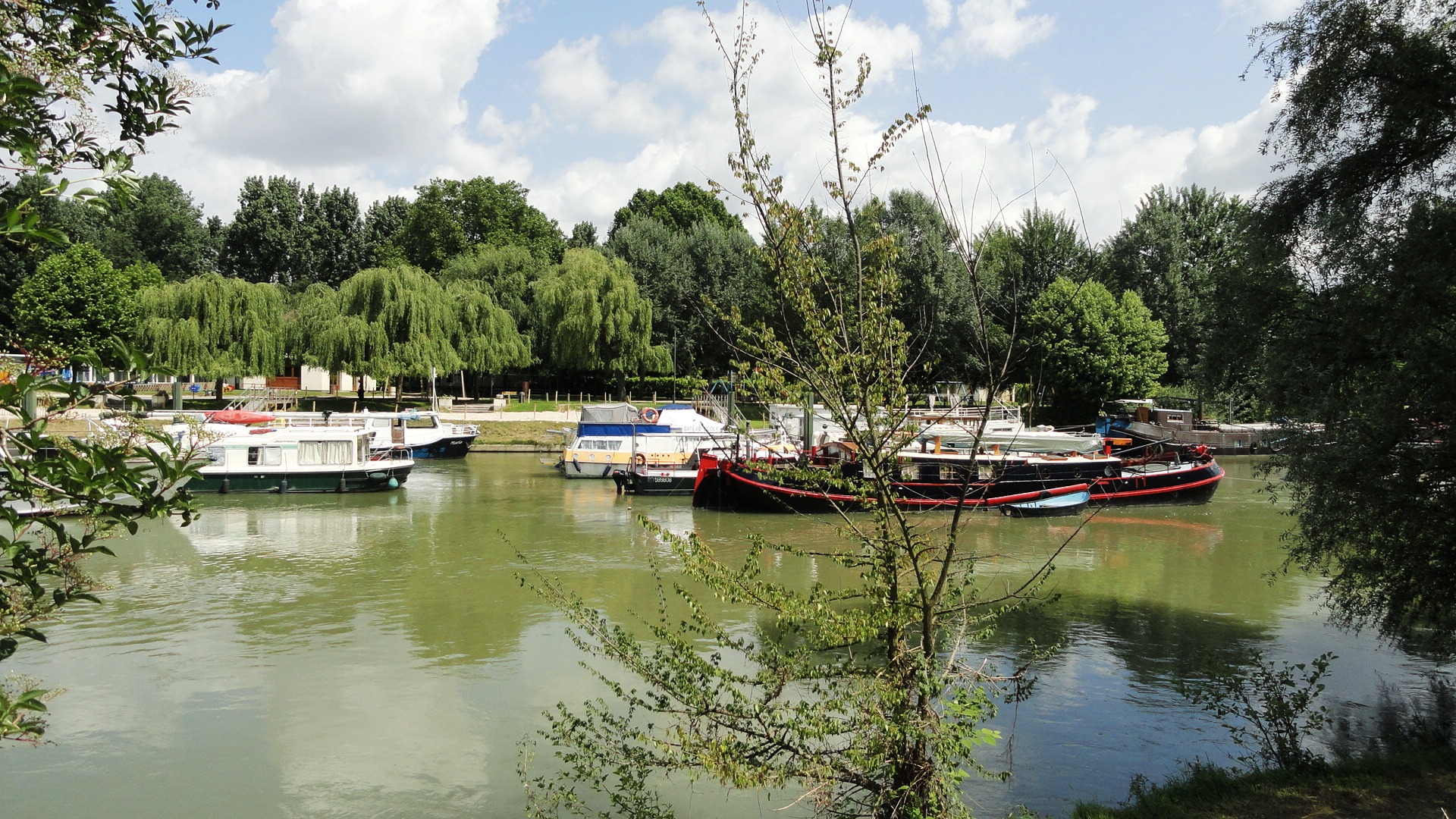 Les bords de Marne, entre Noisy-Le-Grand et Noisiel - Un petit pois sur ...