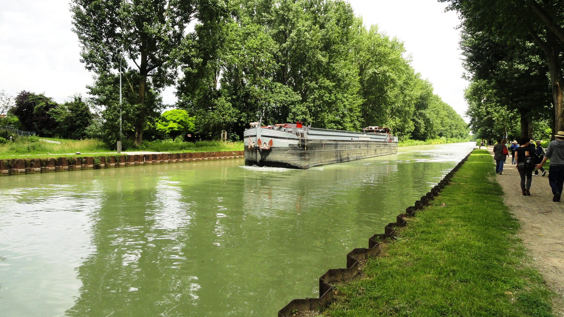 Les bords de Marne, entre Noisy-Le-Grand et Noisiel - Un petit pois sur dix