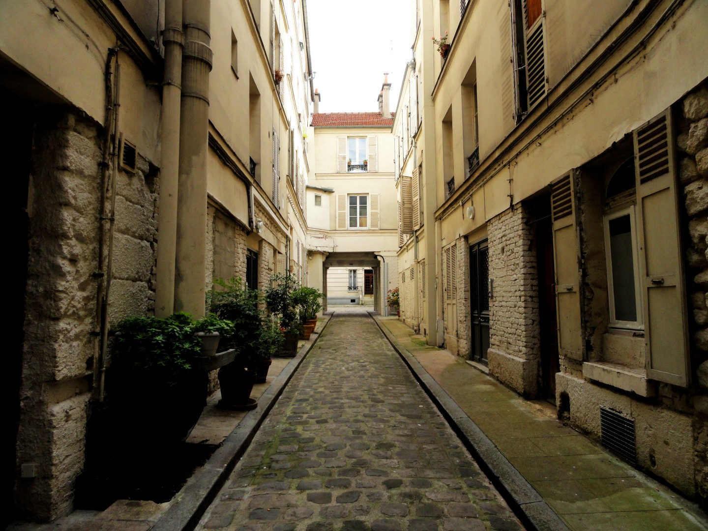 Balade dans le 15e | Surprises au coin de la rue - Un petit pois sur dix...