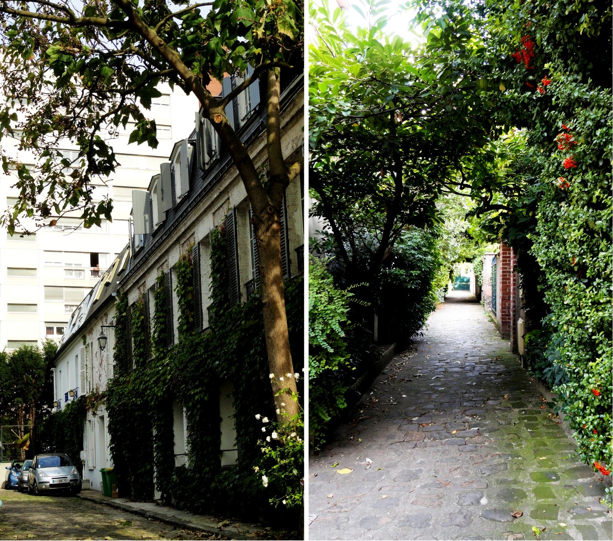 Balade dans le 15e | Surprises au coin de la rue - Un petit pois sur dix